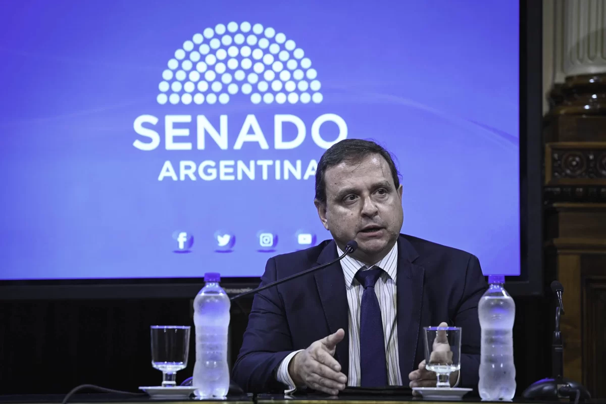 Unión por la Patria le bajó el pulgar a la boleta de Snopek por su ...