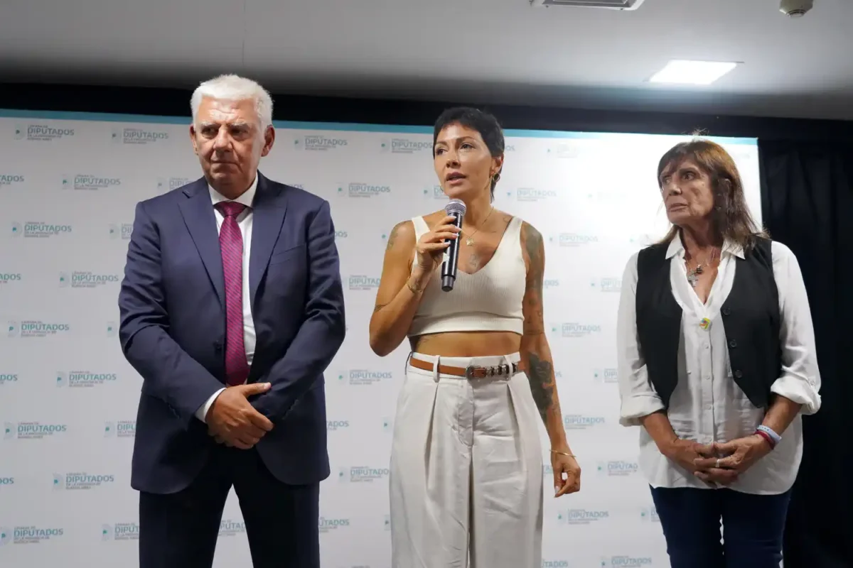 Mayra Mendoza y otro mensaje a Kicillof: "Cristina conduce" - La ...